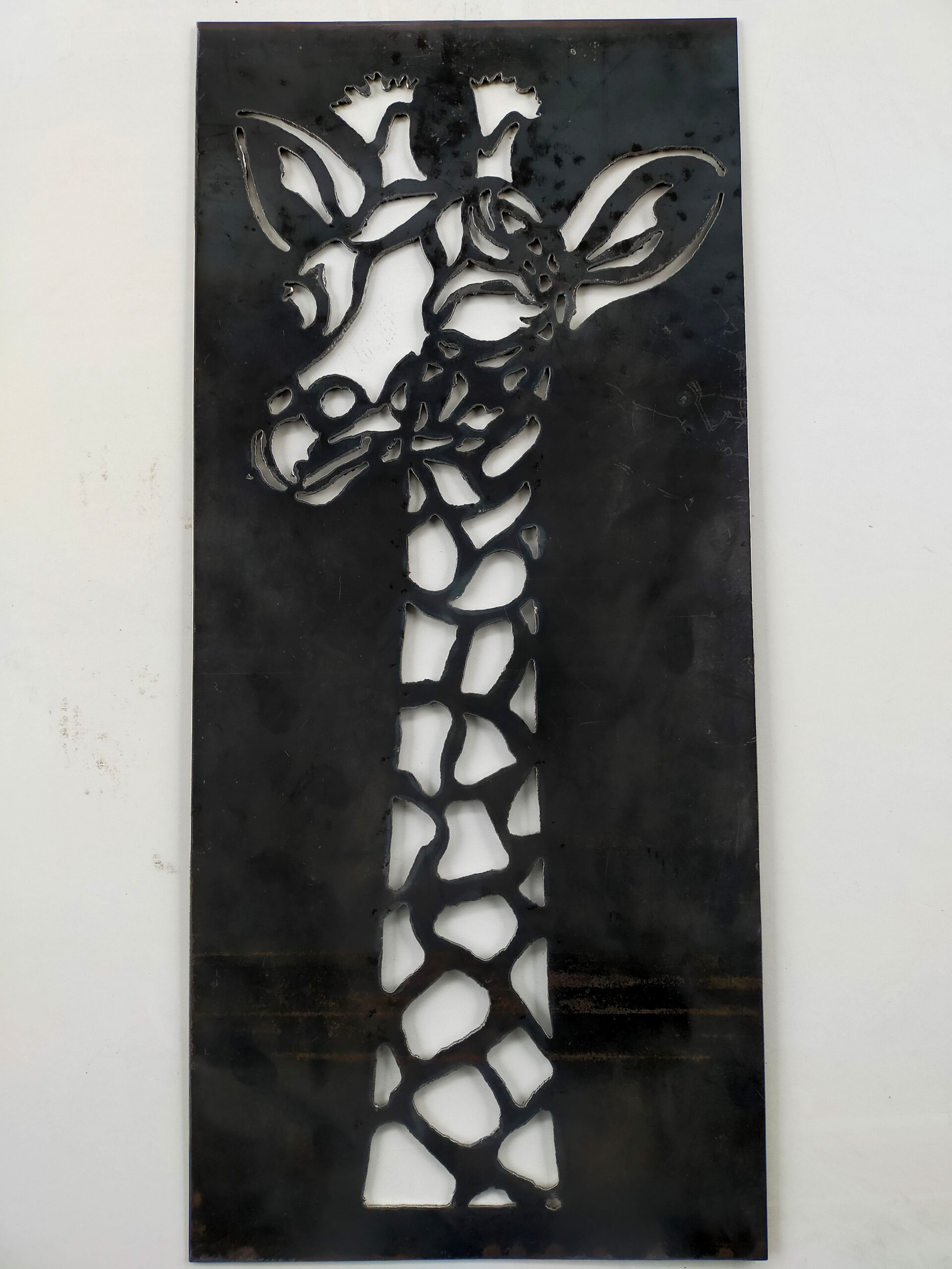 JIRAFA – Francisco Barriuso